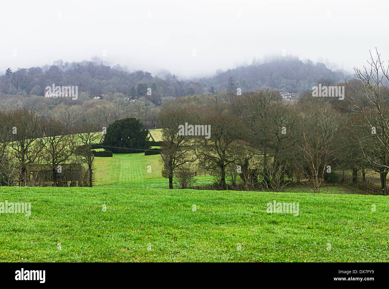 Uk misty field woods hi-res stock photography and images - Alamy