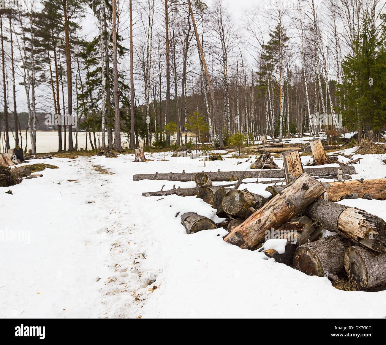 early spring with melting ice and snow Stock Photo - Alamy