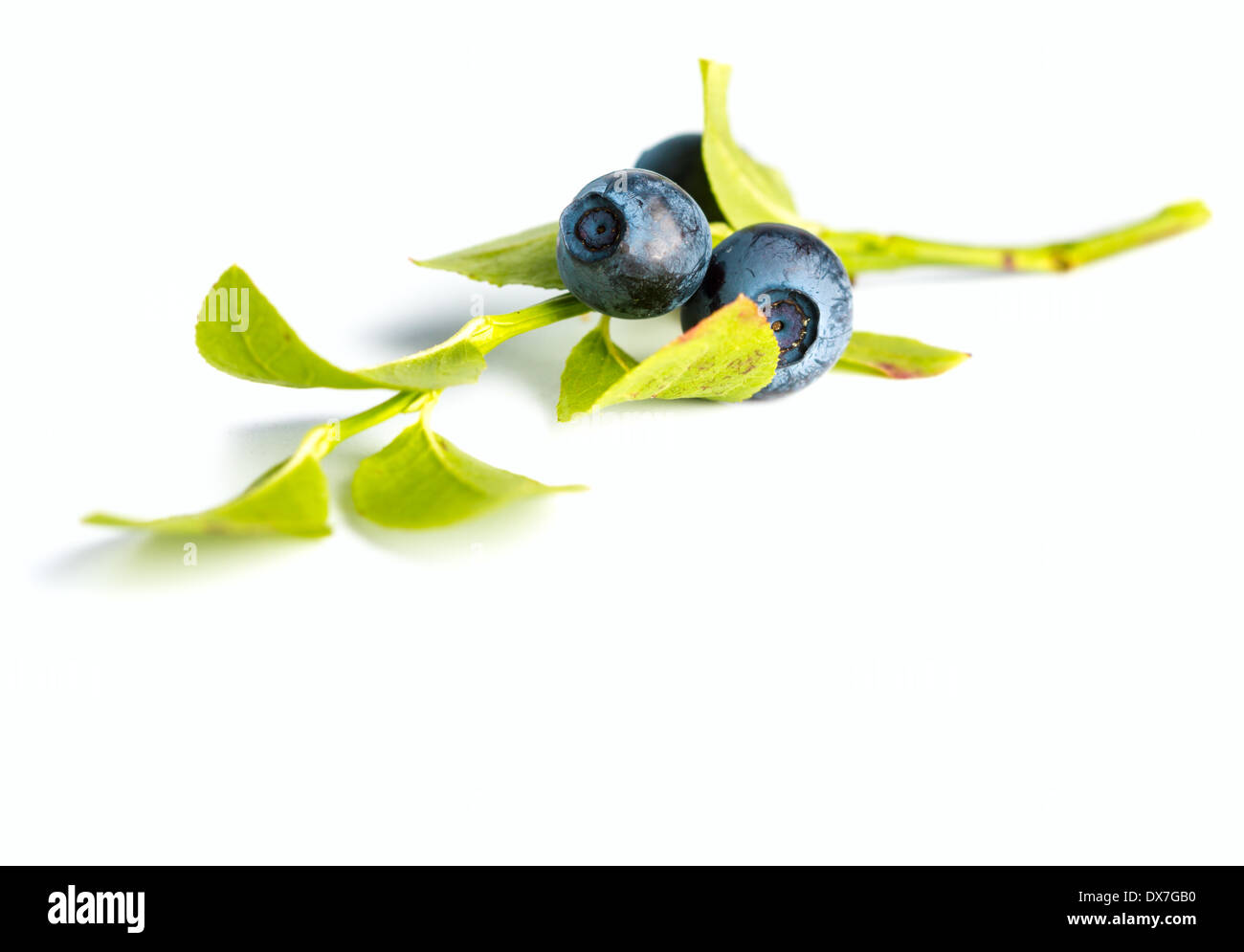 Group fresh blueberries on Cut Out Stock Images & Pictures - Alamy