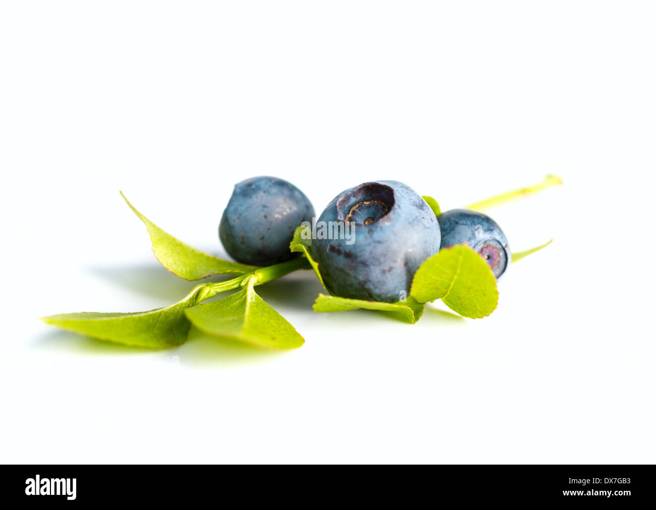 Group fresh blueberries on Cut Out Stock Images & Pictures - Alamy