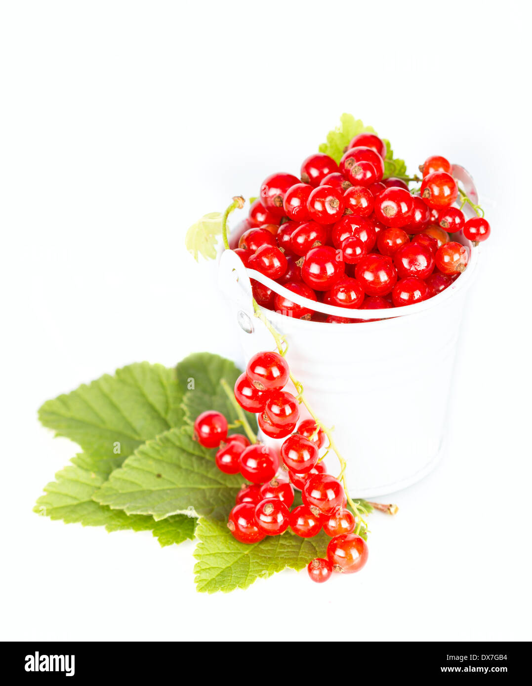 Red current on white background Stock Photo - Alamy