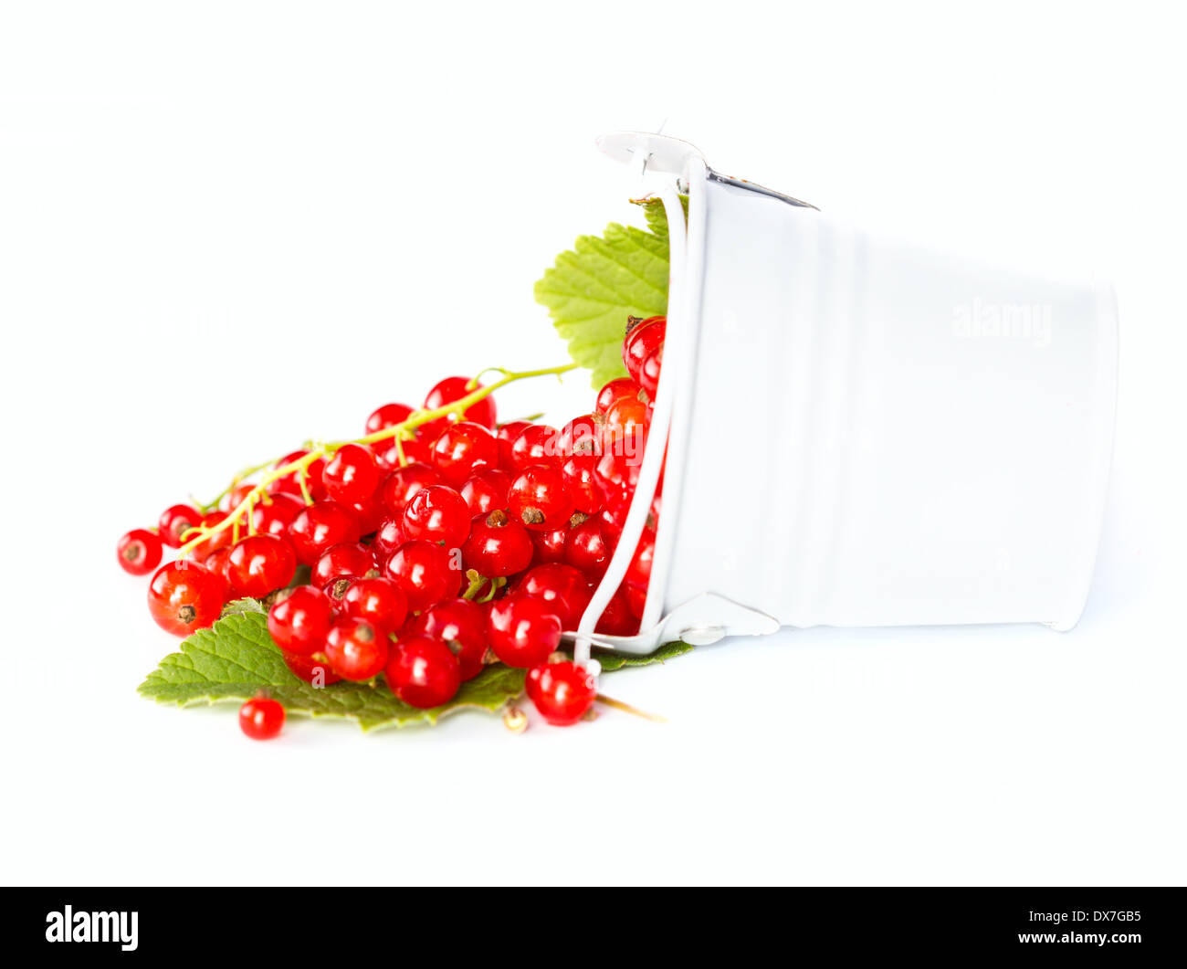 Red current on white background Stock Photo - Alamy