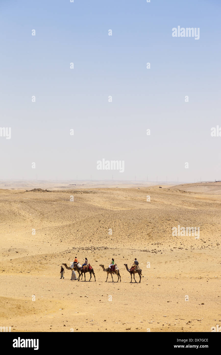 Camel train in the desert at Giza, Cairo, Egypt Stock Photo - Alamy