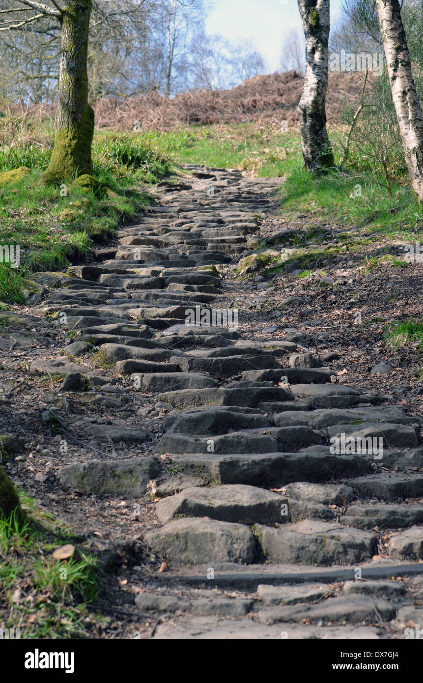 Stone path up a hill at Balmaha, Scotland Stock Photo - Alamy