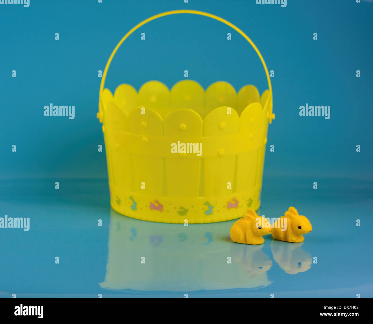 Two cute yellow Easter bunnies, on a glossy blue, background . Easter ...