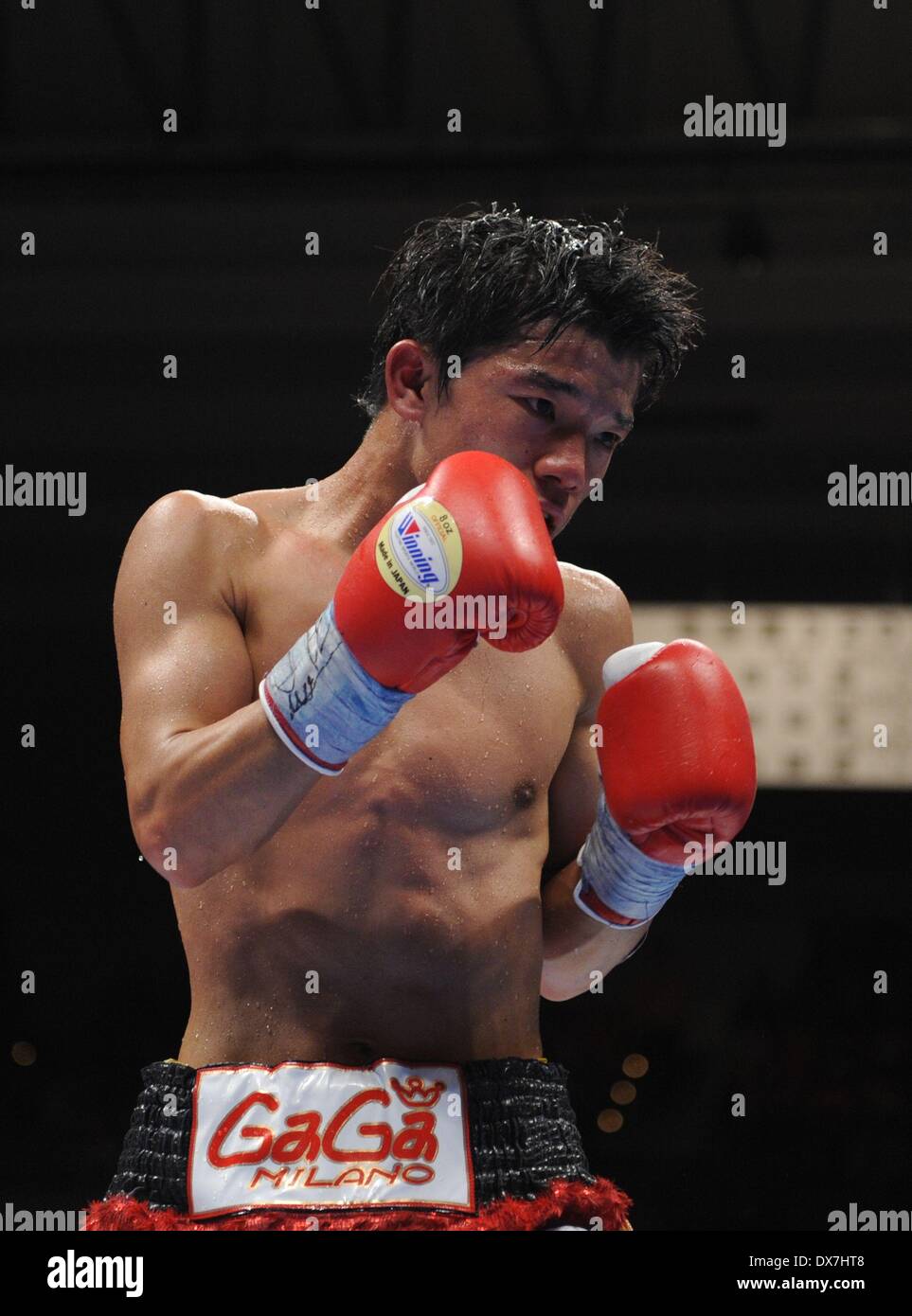 Osaka, Japan. 3rd Dec, 2013. Daiki Kameda (JPN) Boxing : Daiki Kameda ...