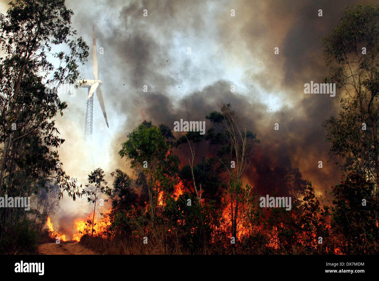 Tirupati. 19th Mar, 2014. Fires rage on Seshachalam ranges of Tirumala ...