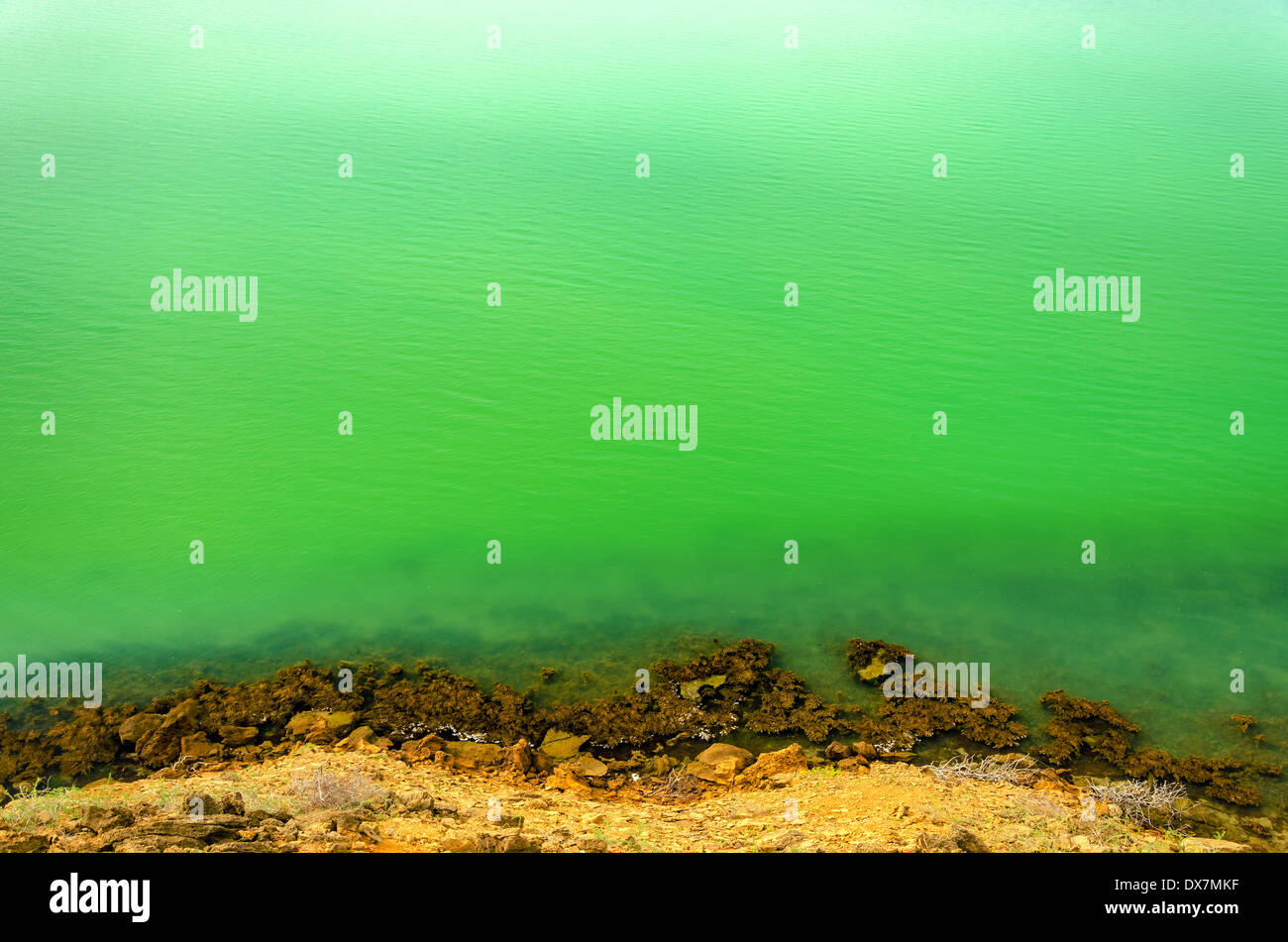 Deep sea green hi-res stock photography and images - Alamy