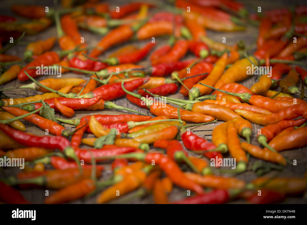 Drying chilli in the sun in Vang Vieng, Laos Stock Photo - Alamy