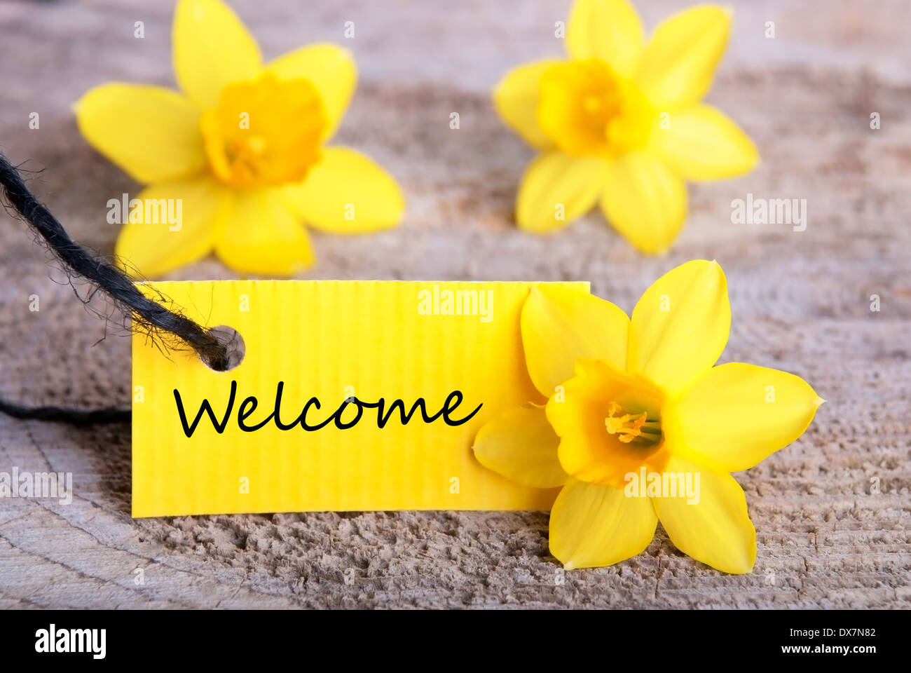 Yellow Label with Welcome and Yellow Daffodils in the Background Stock ...