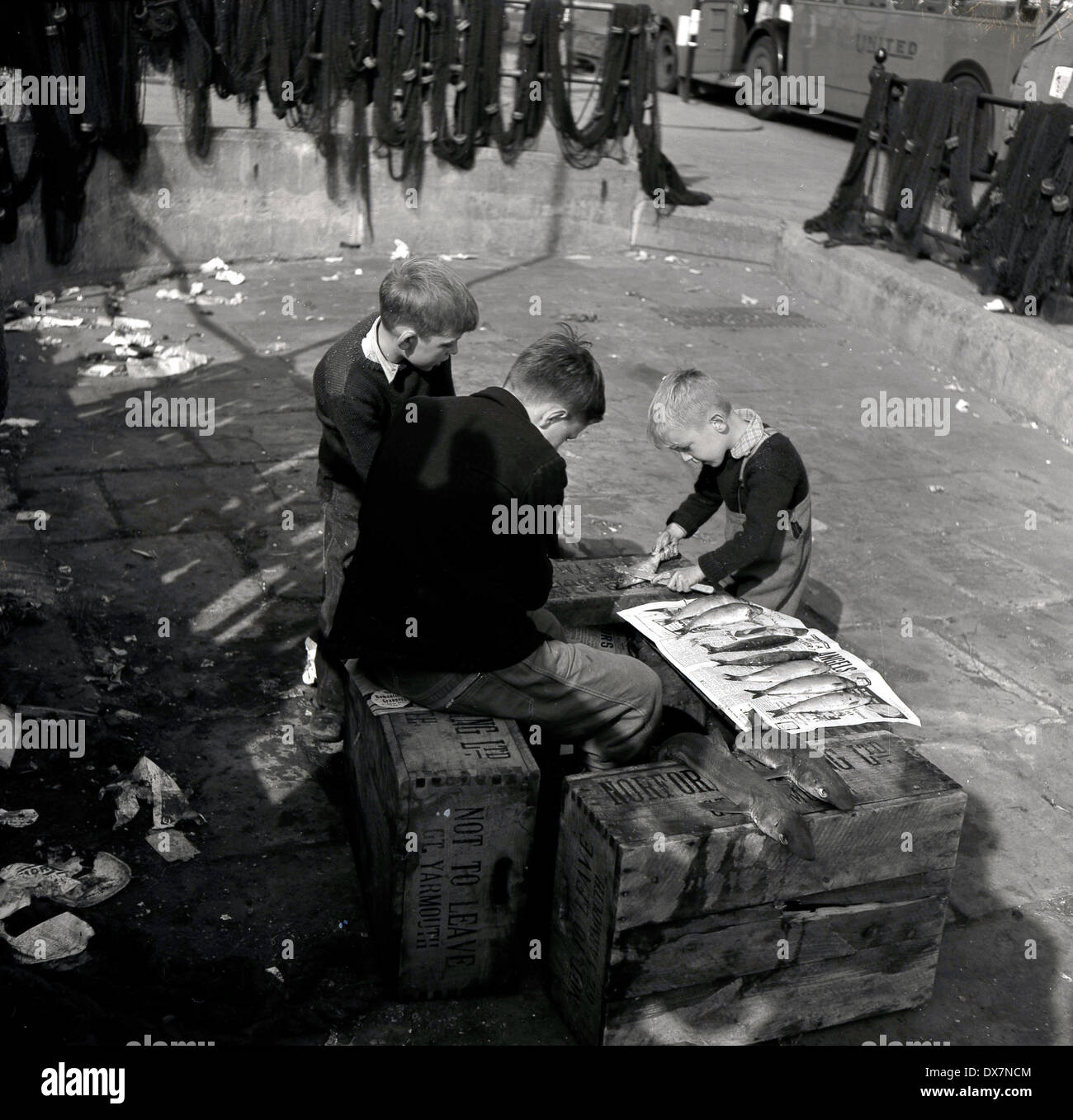 1950s, Historical picture of three young boys sitting on wooden boxes ...