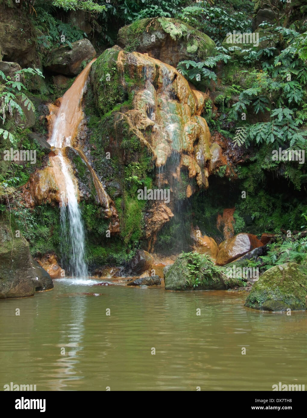 mineral spring at the Azores in Portugal Stock Photo - Alamy