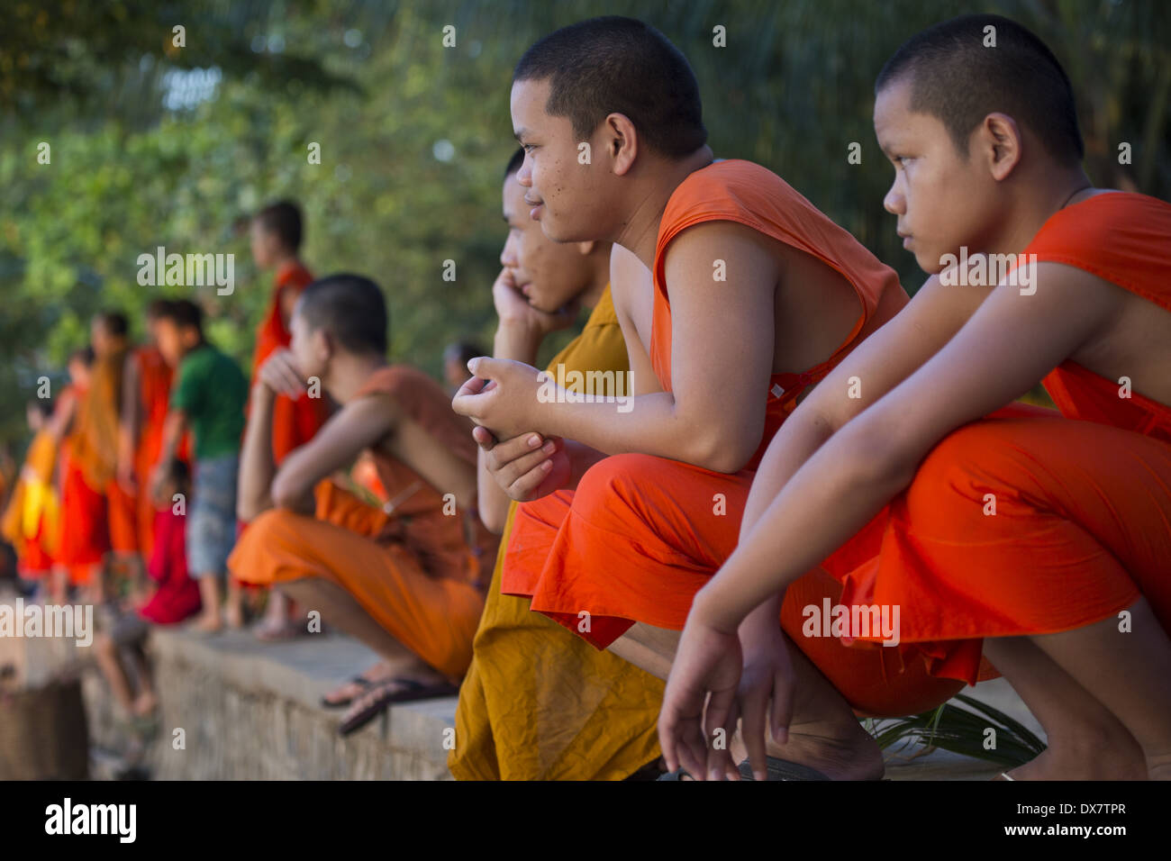 Buddhist monks watching the boat race in Paske, Laos Stock Photo - Alamy