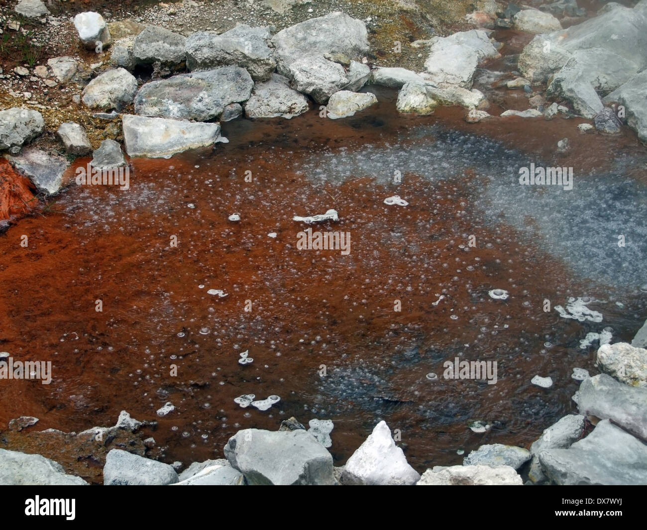 mineral spring at the Azores in Portugal Stock Photo - Alamy