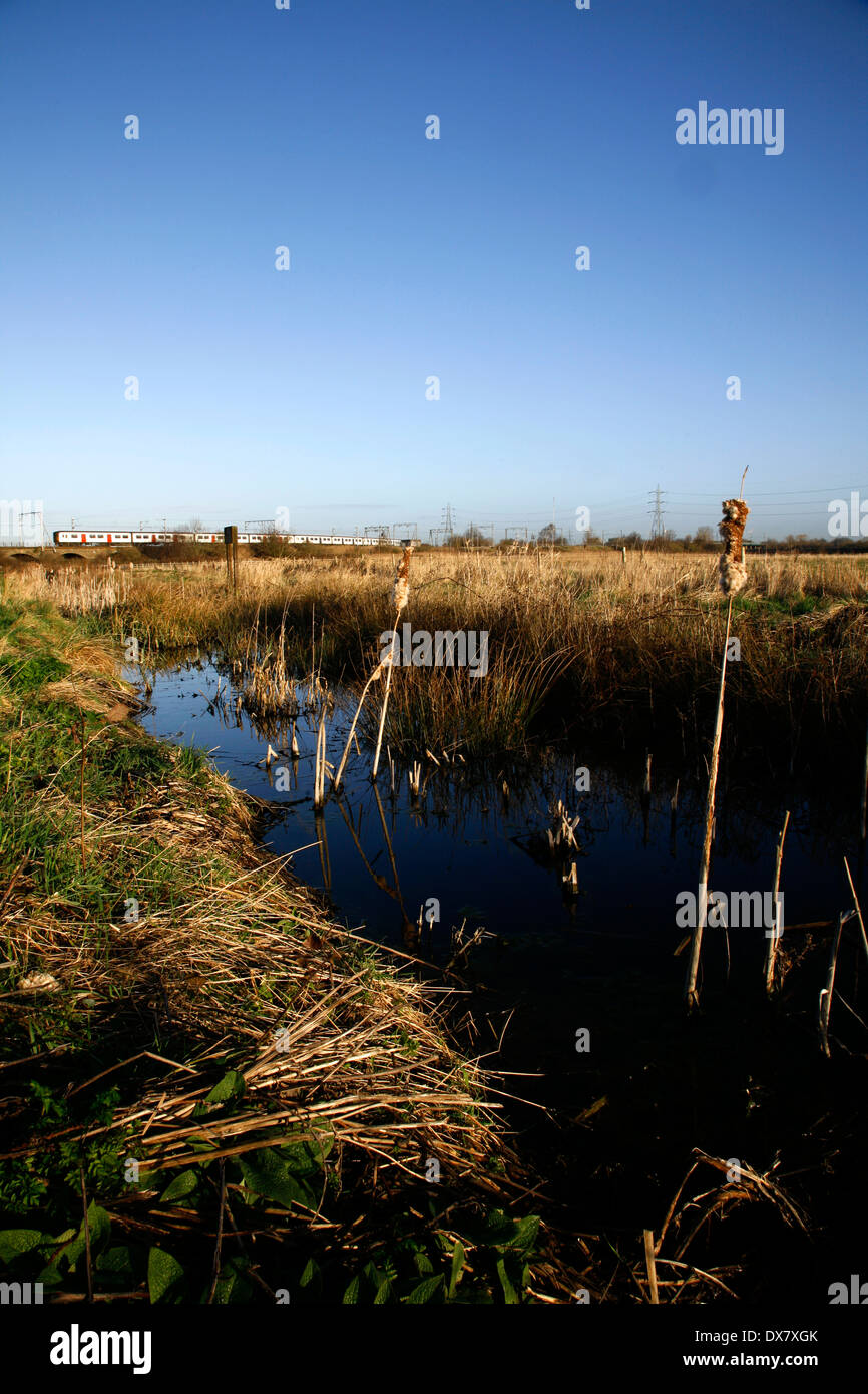Walthamstow marshes bridge hi-res stock photography and images - Alamy