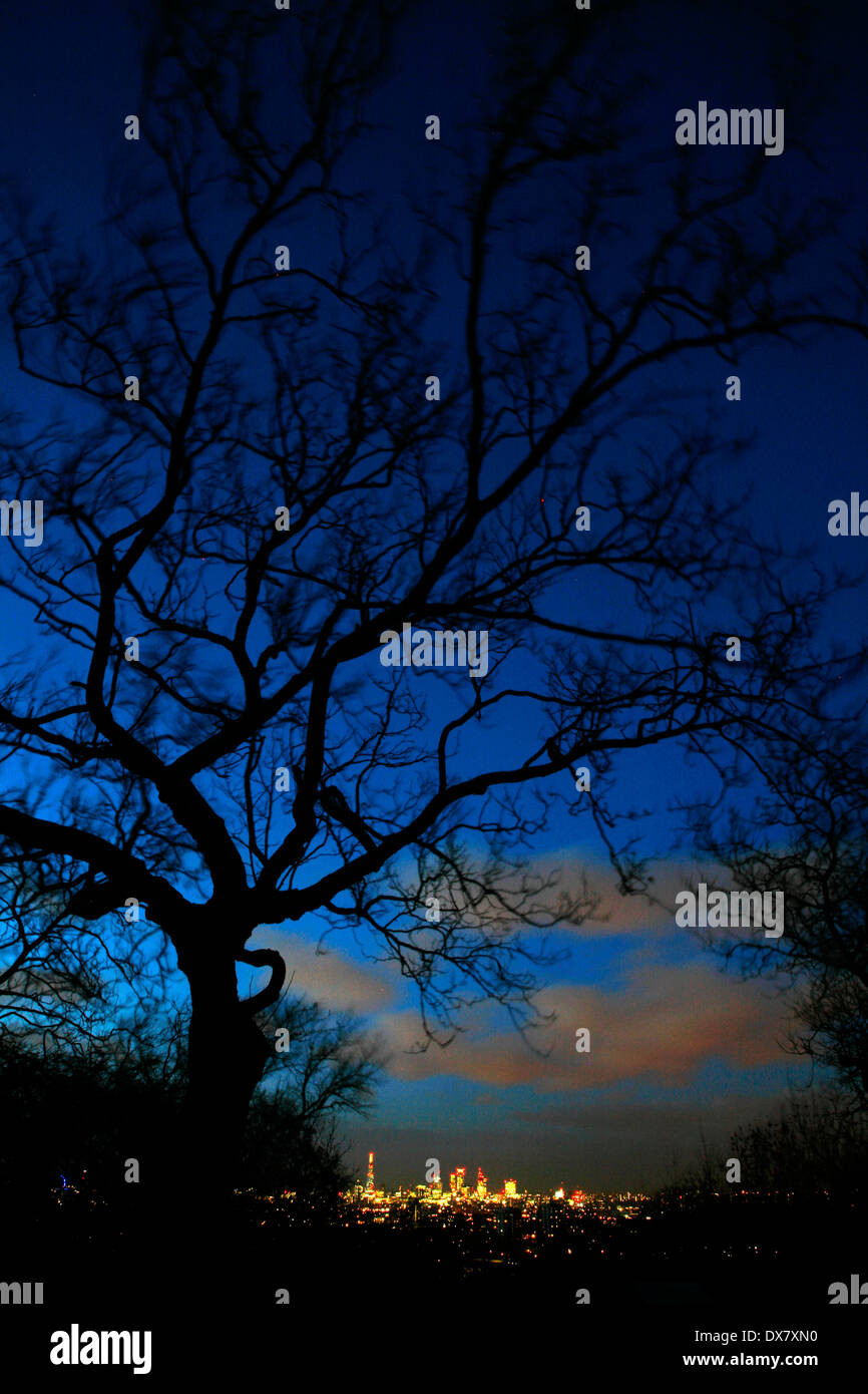 One tree hill london hi-res stock photography and images - Alamy