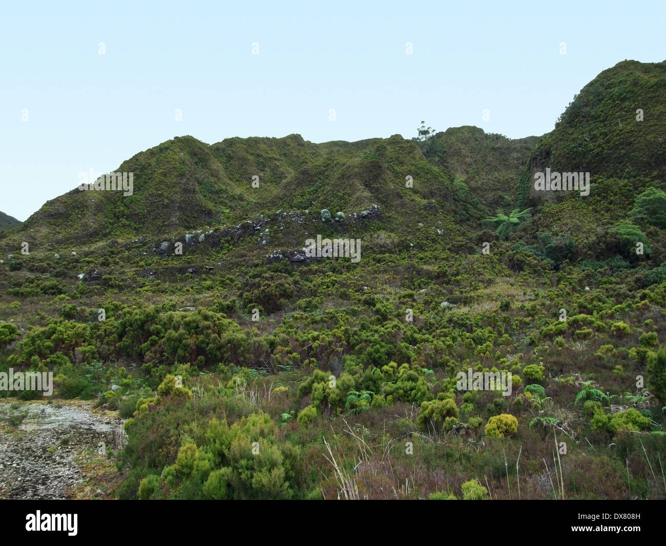 Azores scenery hi-res stock photography and images - Alamy