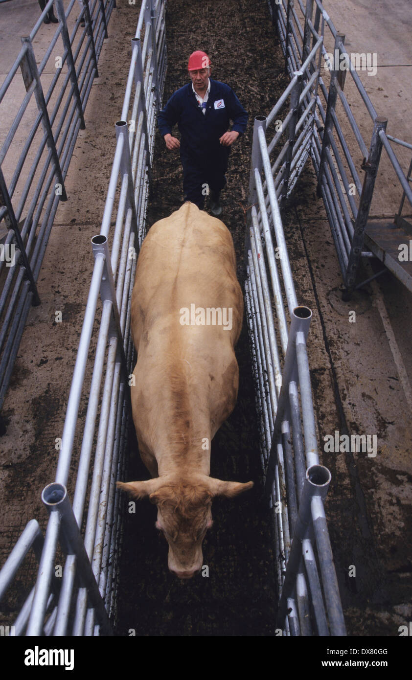 Banbury cattle market hi-res stock photography and images - Alamy