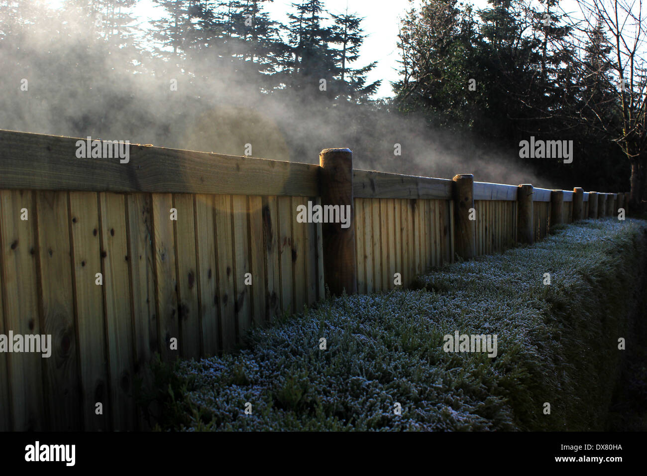Steam rising from wooden fence on a winter morning Stock Photo - Alamy