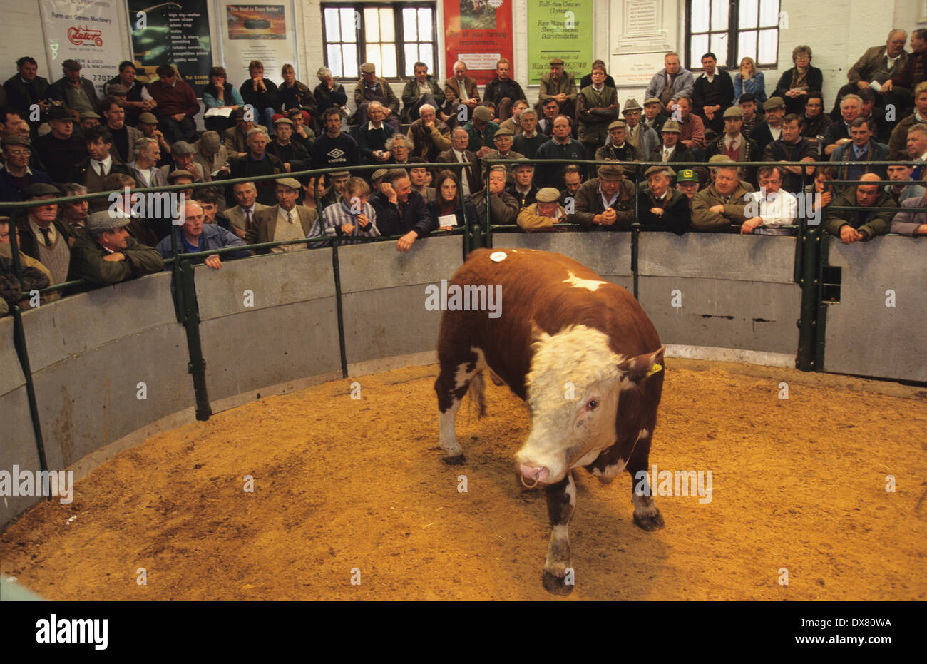 Banbury cattle market hi-res stock photography and images - Alamy