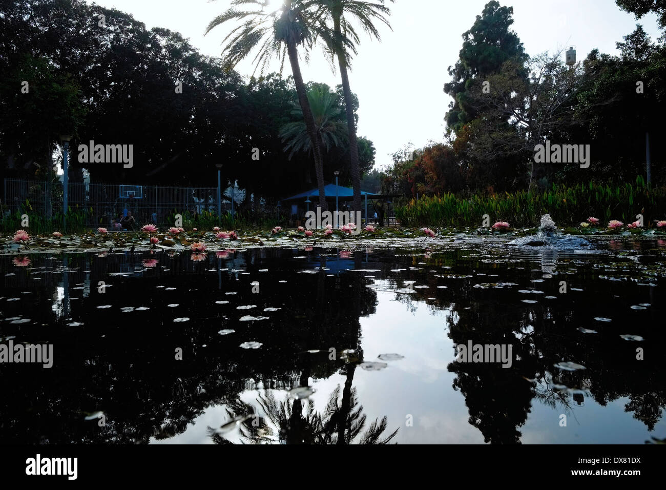 A water pond in Gan Meir Park named after the first mayor of Tel Aviv ...