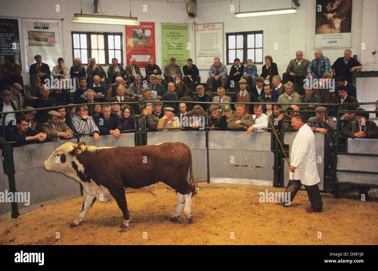 Banbury Stockyard Cattle Market Oxfordshire High Resolution Stock ...