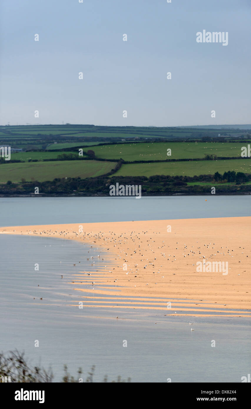 The Camel Estuary flows between the villages of Padstow and Rock on the ...