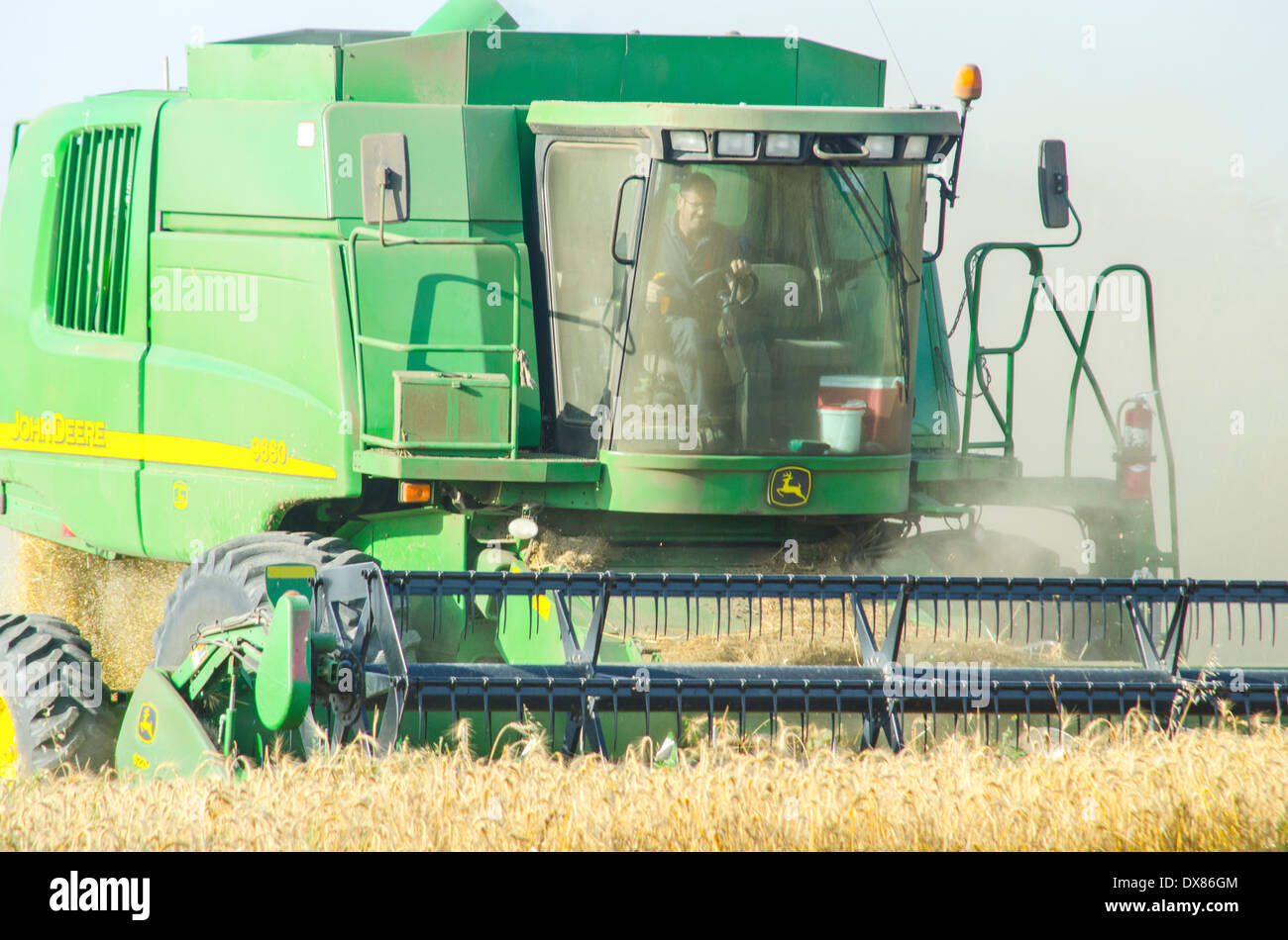 John deere combines harvesting wheat hi-res stock photography and ...