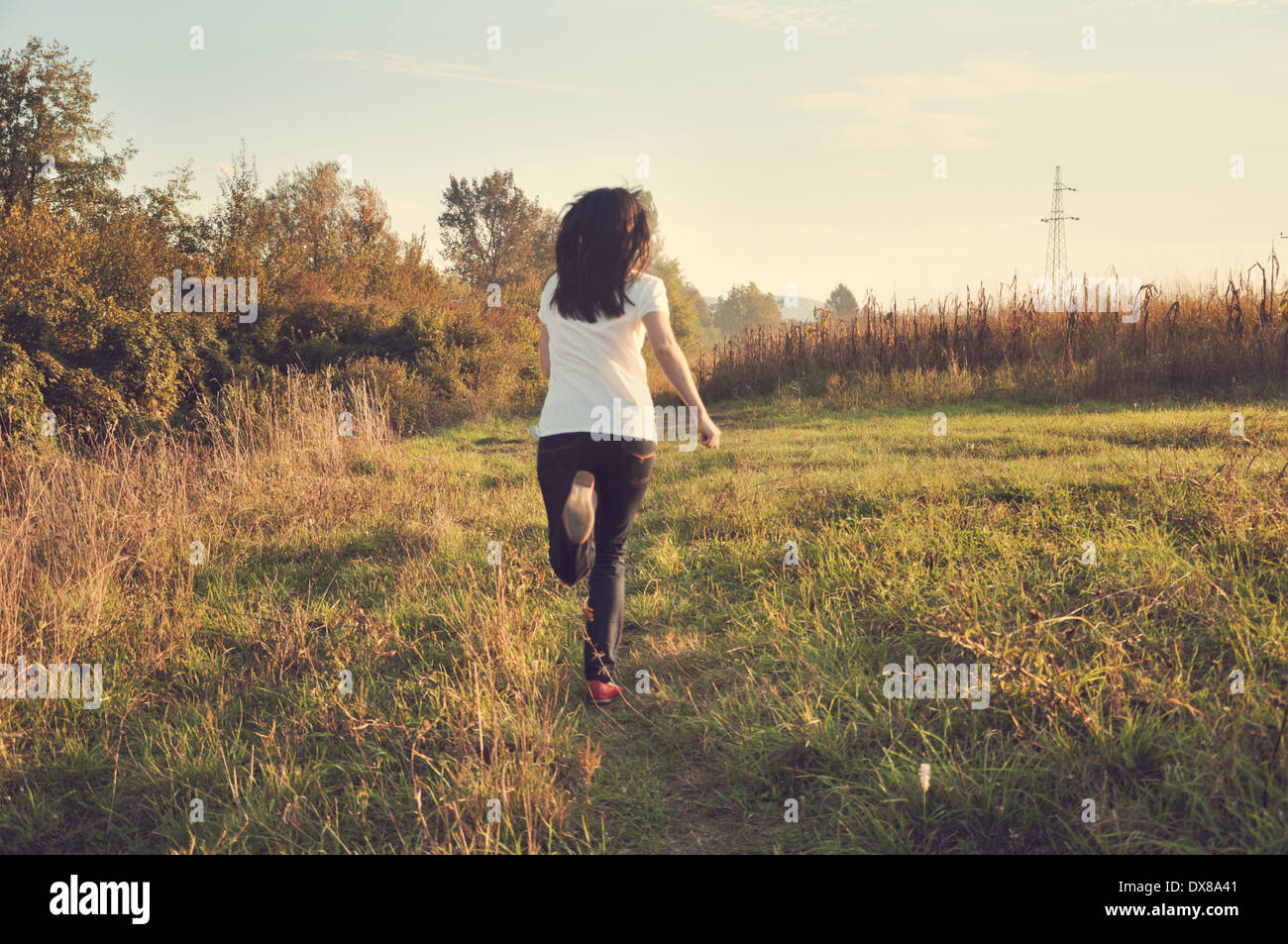 Grass field solitude hi-res stock photography and images - Alamy