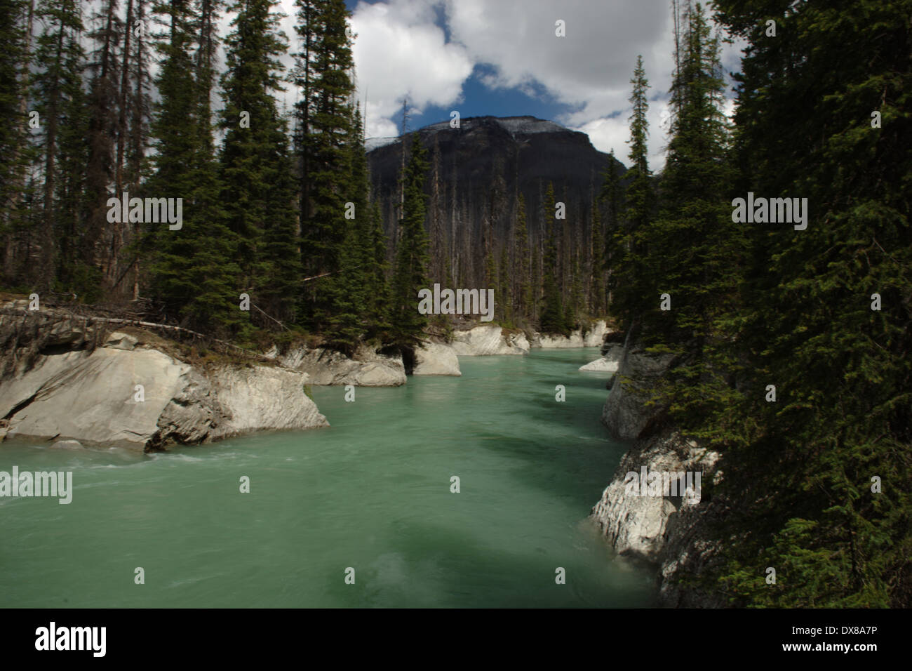 River british columbia kootenays hi-res stock photography and images ...