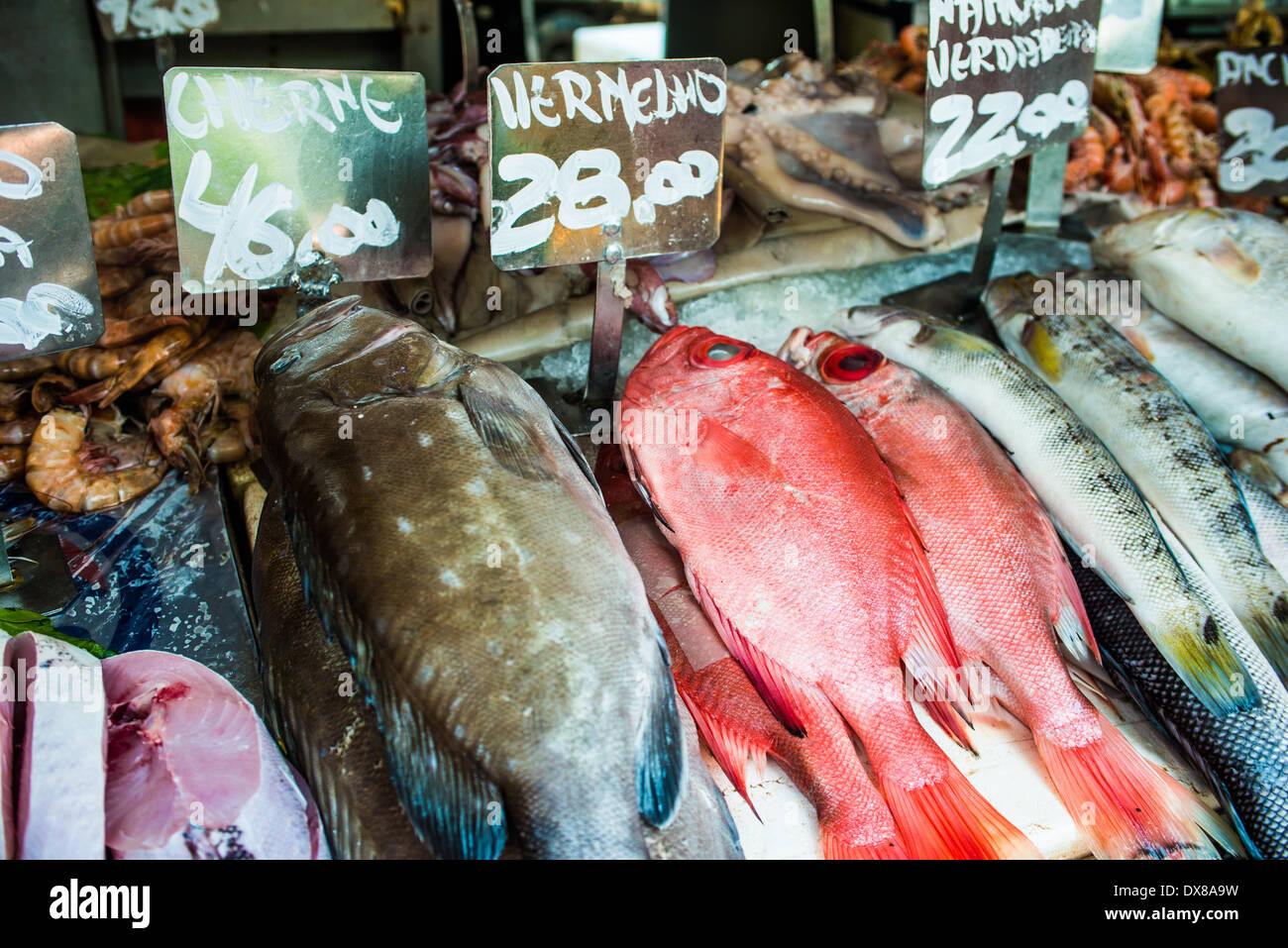 Rio de janeiro fish market hi-res stock photography and images - Alamy