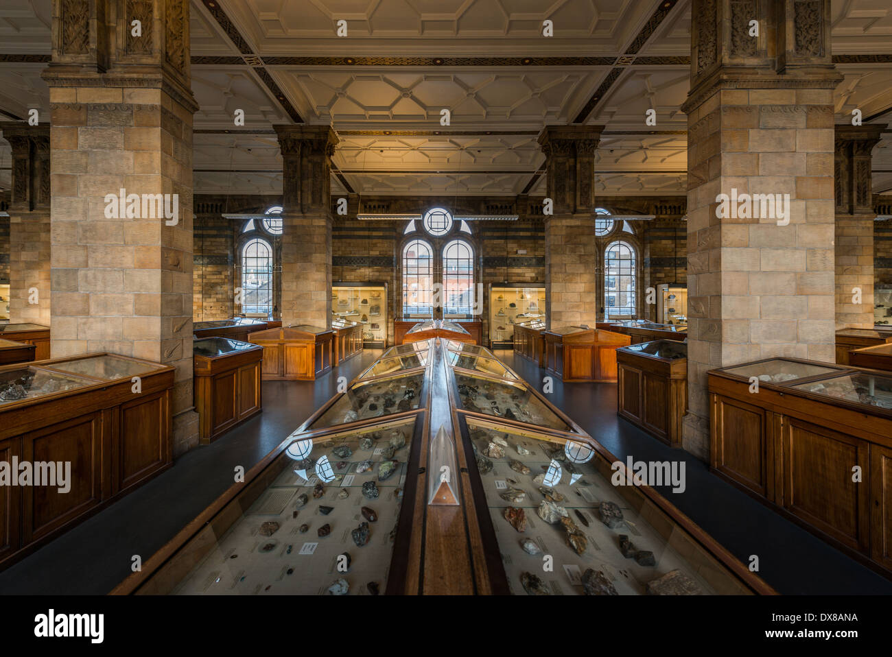 Natural history museum london display hi-res stock photography and ...