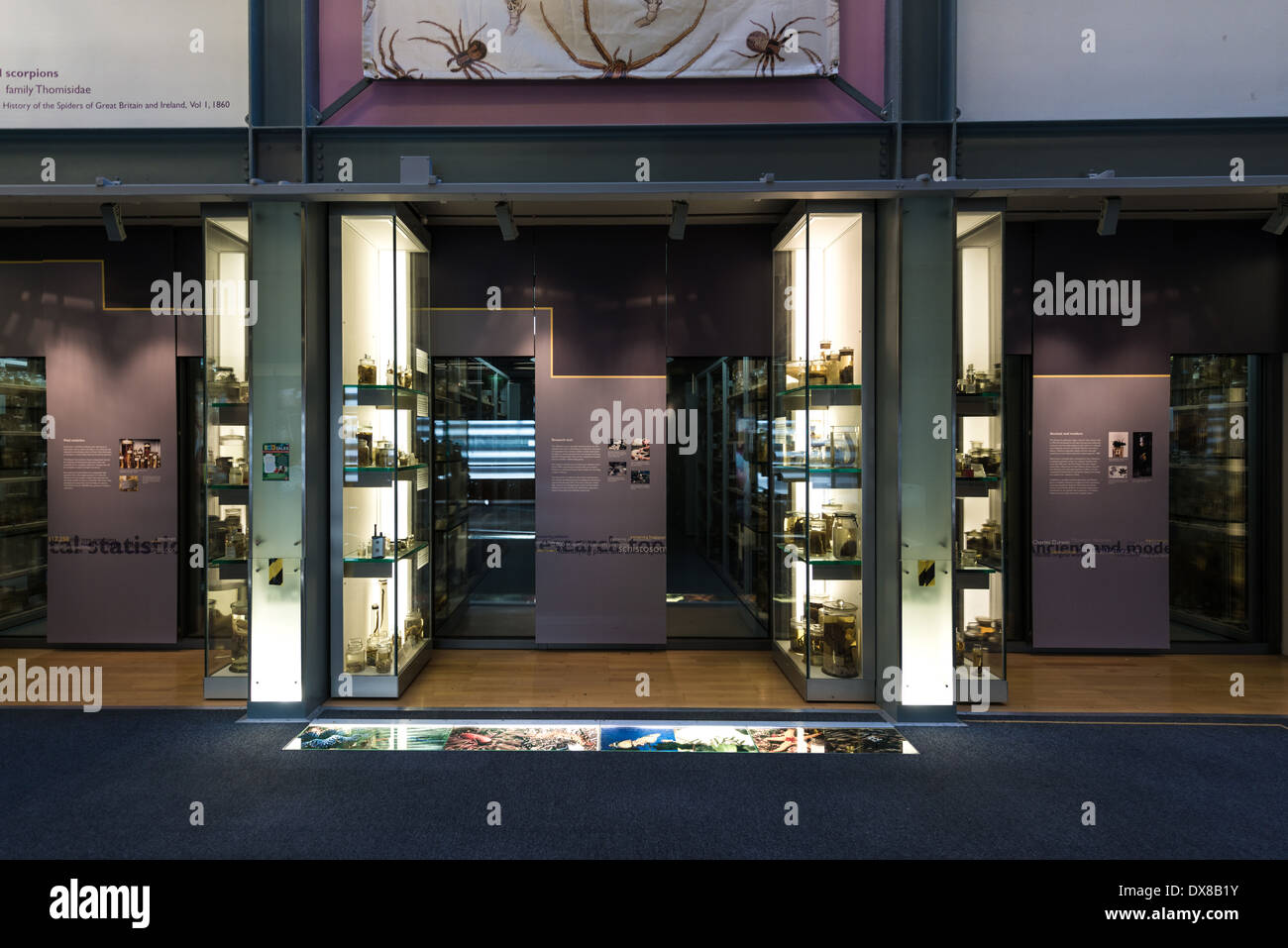 Zoology spirit building at the Natural History Museum in South ...