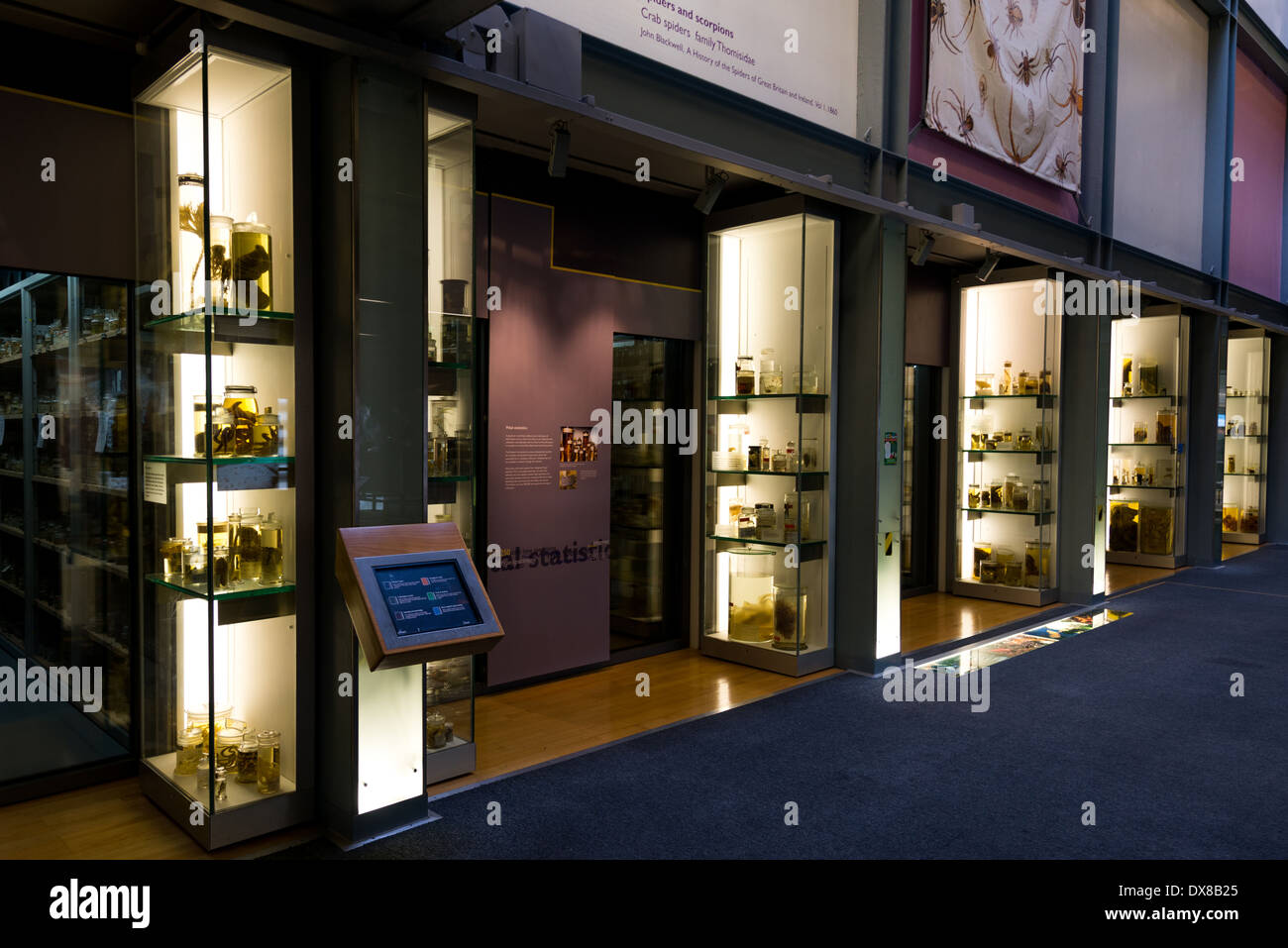 Zoology spirit building at the Natural History Museum in South ...