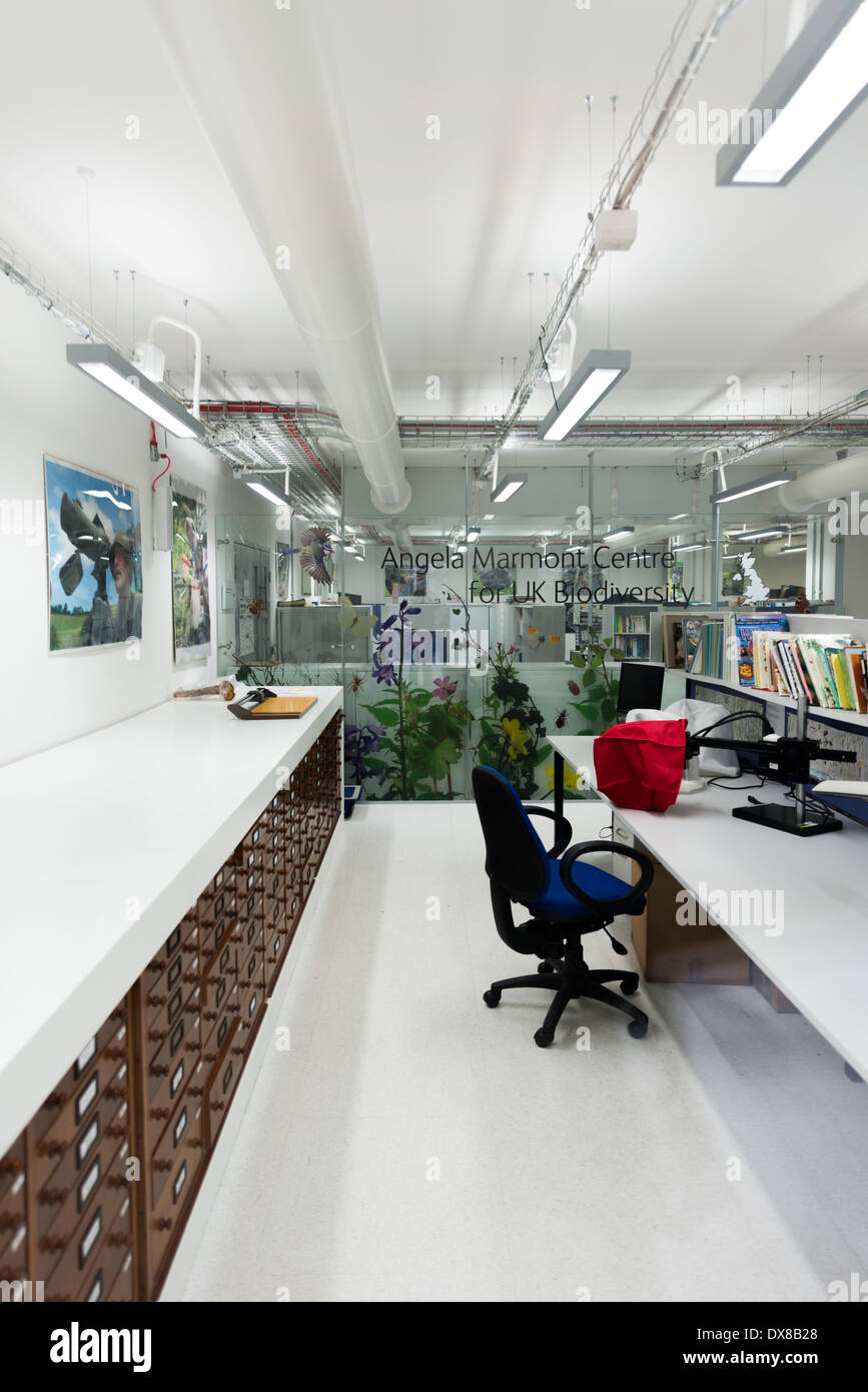 A research laboratory at the Natural History Museum in South Kensington ...