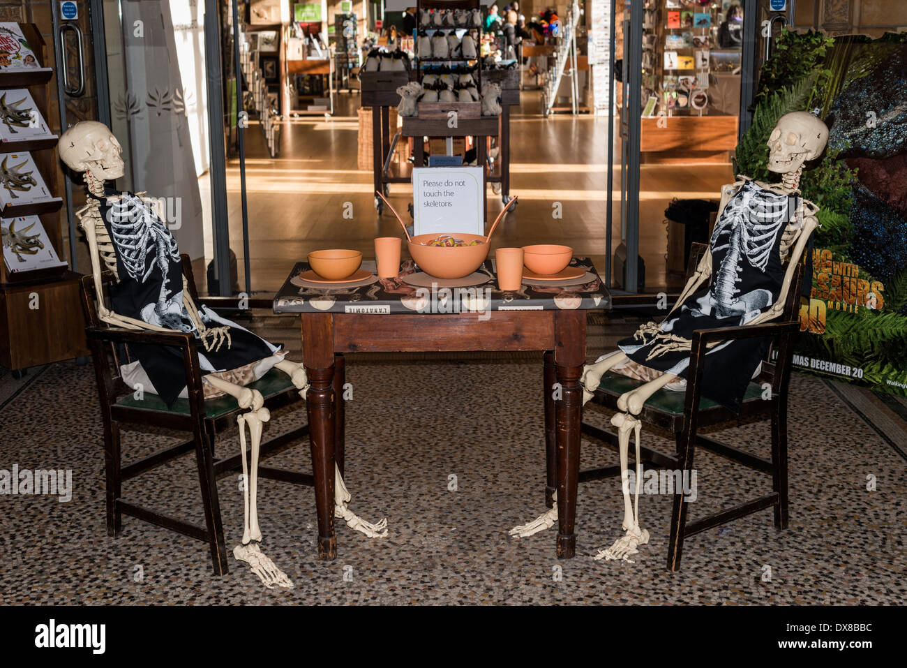 Victorian human bones hi-res stock photography and images - Alamy