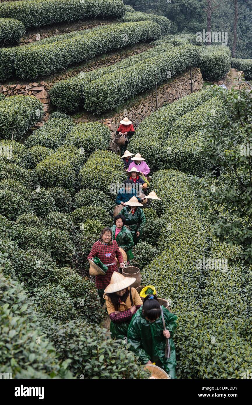 Hangzhou, China's Zhejiang Province. 20th Mar, 2014. Farmers walk at a ...
