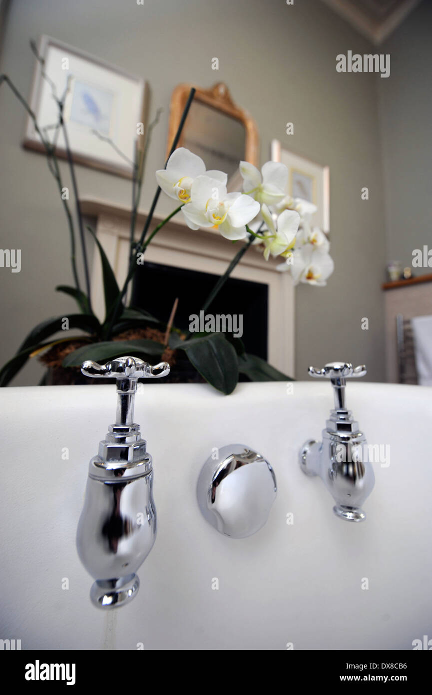 Great luxury taps hi-res stock photography and images - Alamy