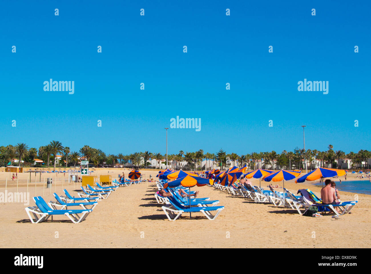 La Playa el Castilo main beach, Caleta de Fuste, Fuerteventura, Canary ...