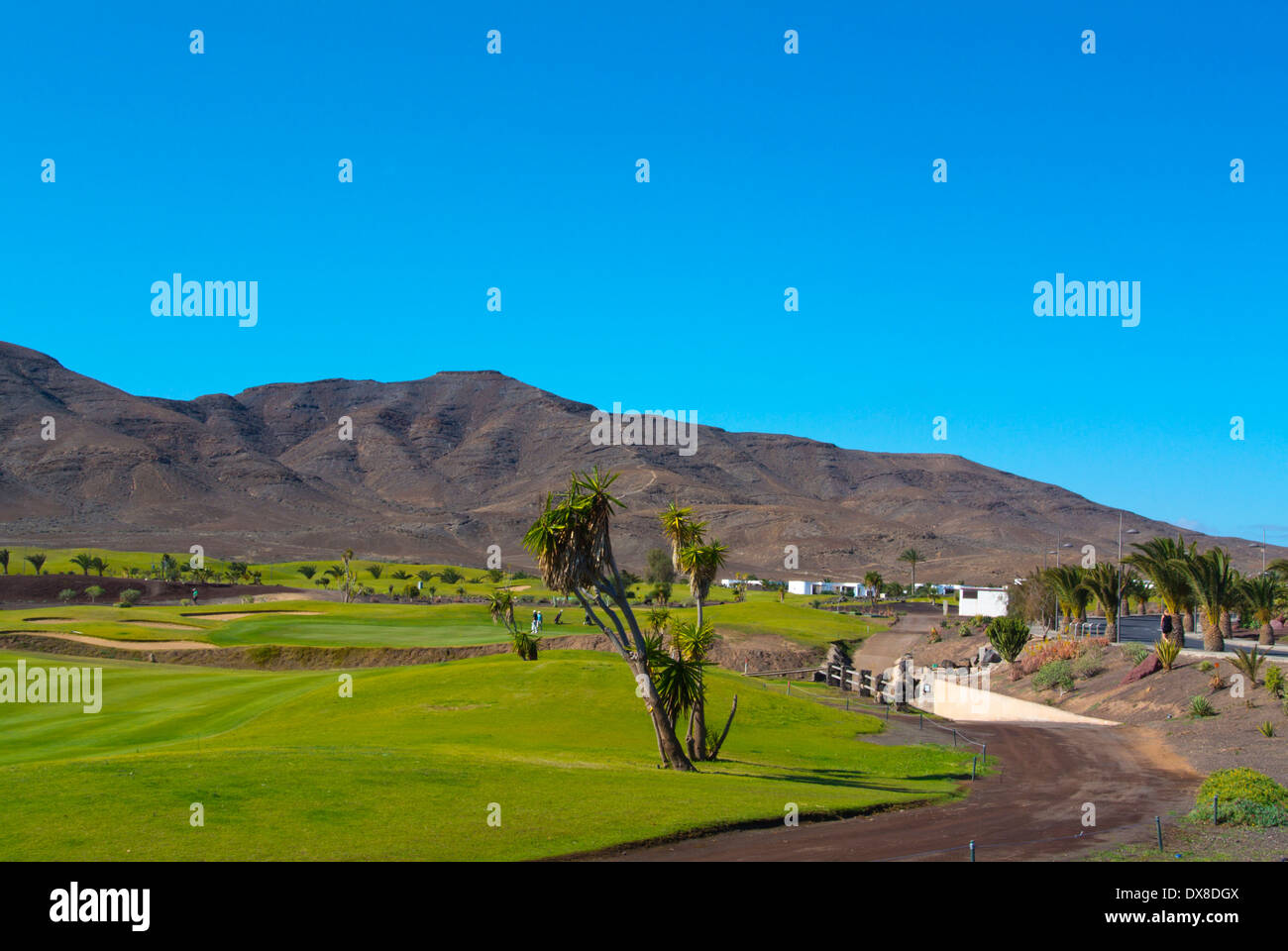 Golf landscape hi-res stock photography and images - Alamy