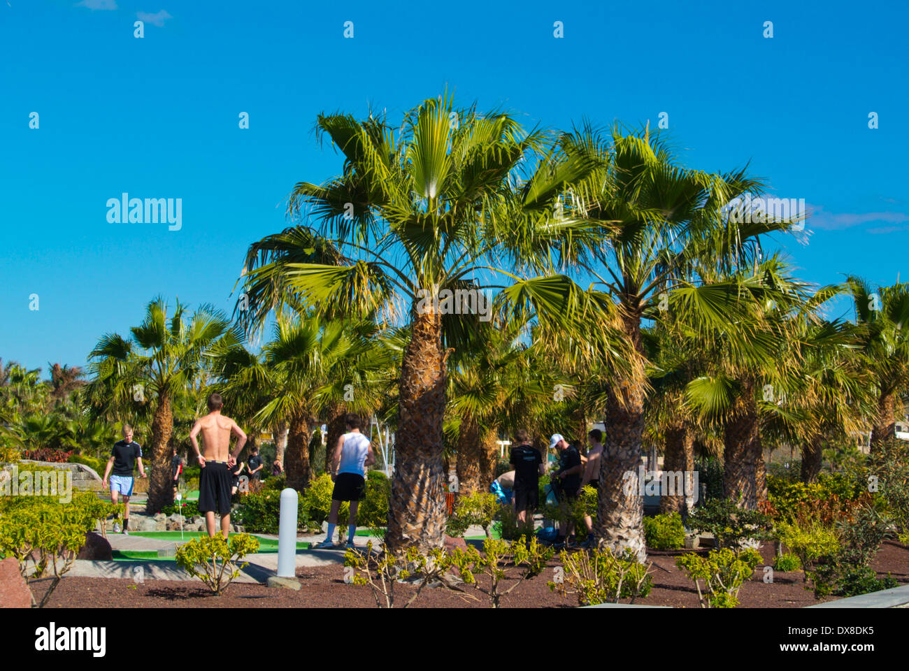 European people play golf hi-res stock photography and images - Alamy