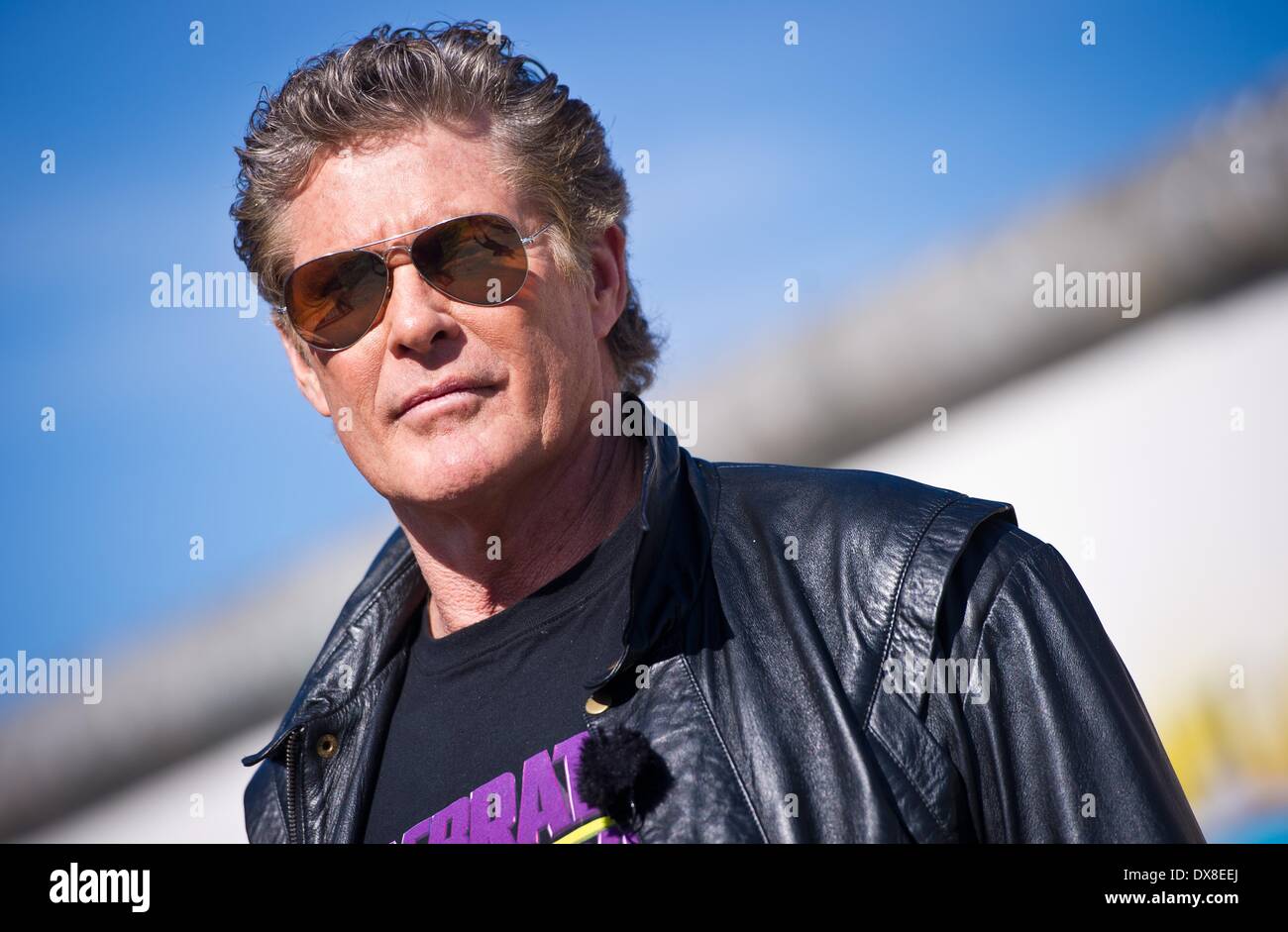 Berlin, Germany. 20th Mar, 2014. US American actor and singer David ...