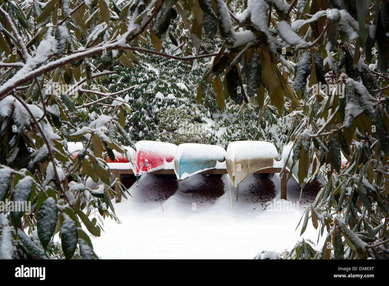 Snow-covered Canoes in Winter - Deerlake Village - Brevard, North ...