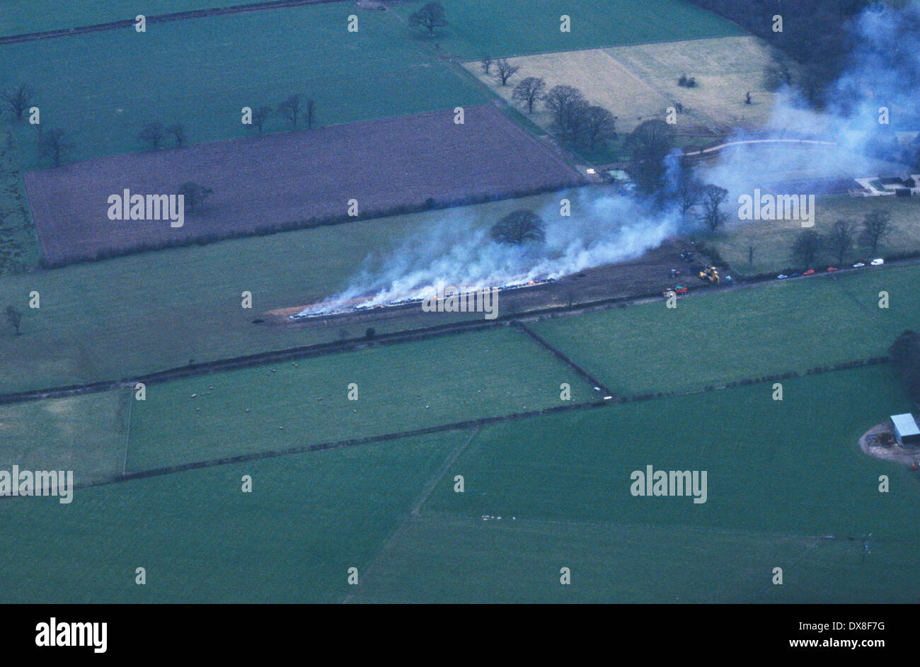 Cow carcasses incinerated on funeral pyre during foot and mouth ...