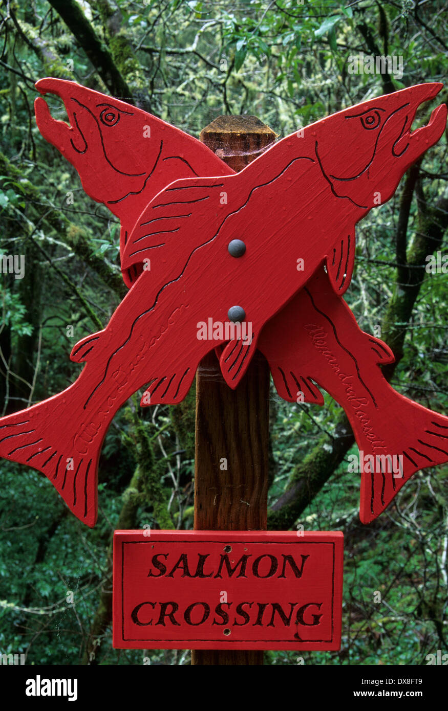 Salmon Crossing sign, Samuel Taylor State Park, Golden Gate National ...