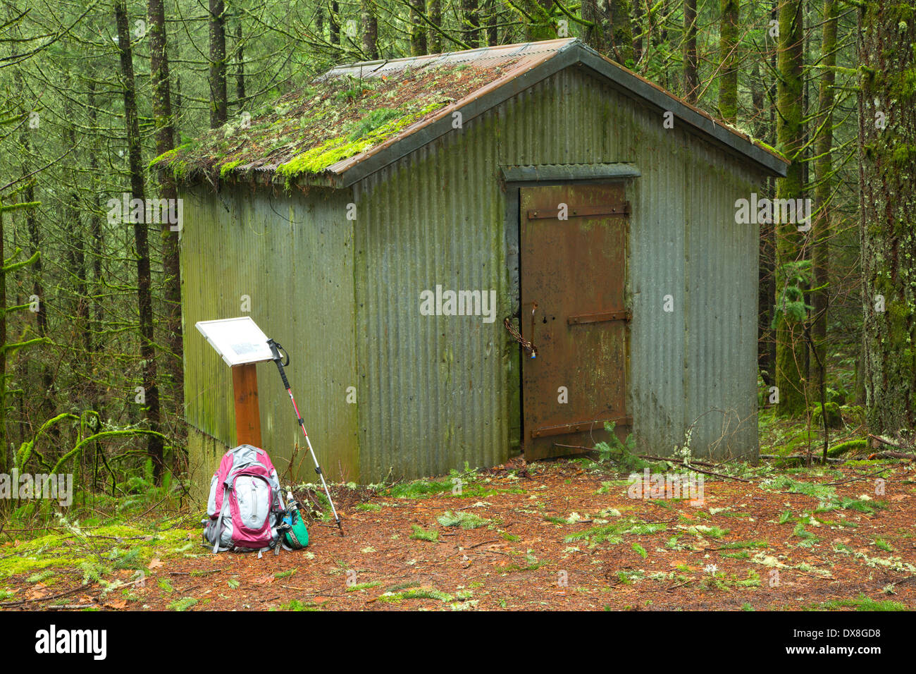 Cap House along Powder House Trail, McDonald State Forest, Oregon Stock ...