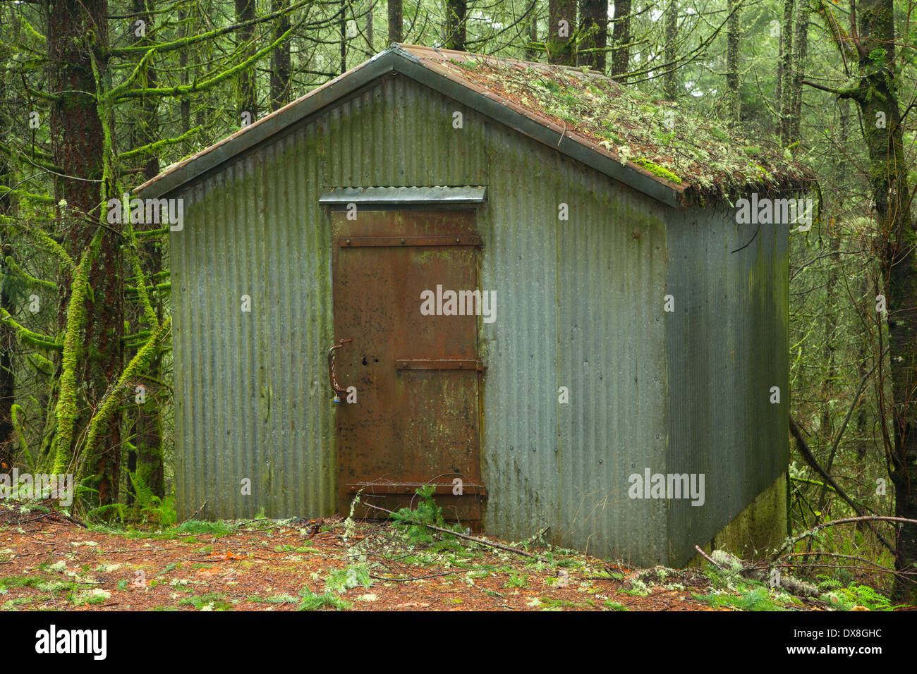 Cap House along Powder House Trail, McDonald State Forest, Oregon Stock ...