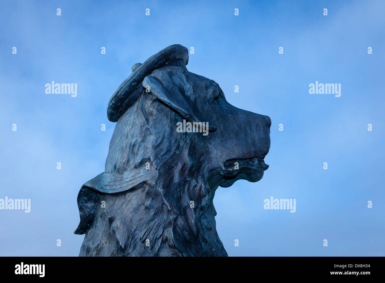 Bamse hi-res stock photography and images - Alamy