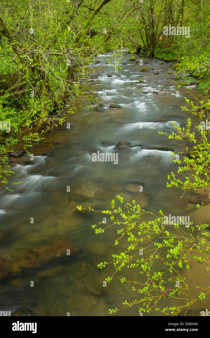 Oregon hatchery research center hi-res stock photography and images - Alamy