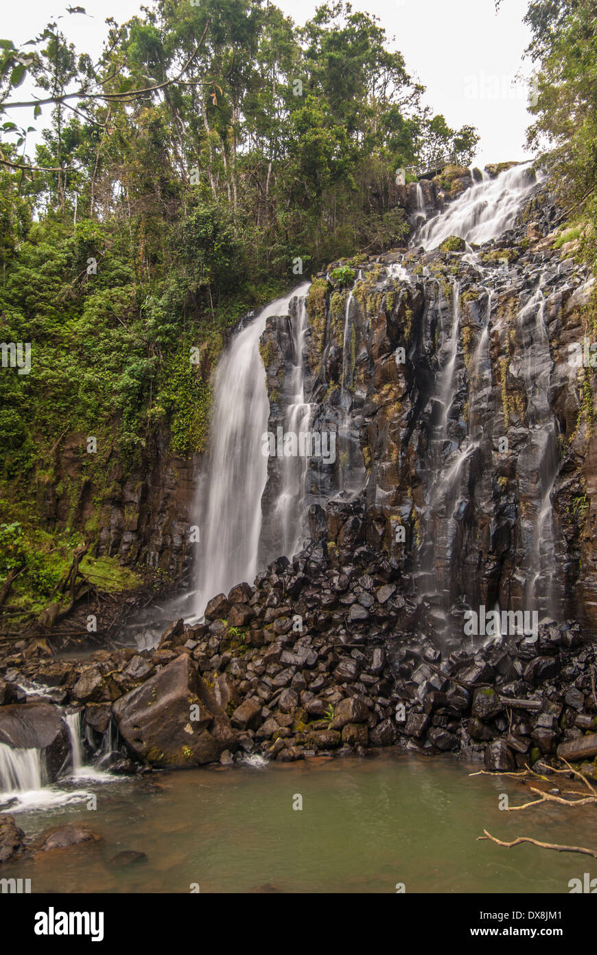 MUNGALLI FALLS, ATHERTON TABLELANDS, QUEENSLAND, AUSTRALIA Stock Photo ...